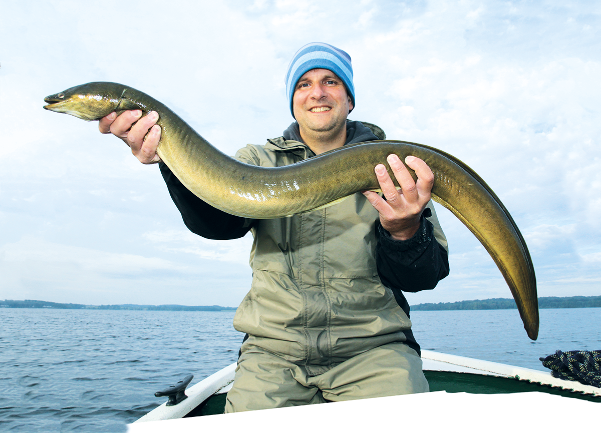 Kaptiale Aale: Jagd auf den Großaal - SKIPPER Bootshandel